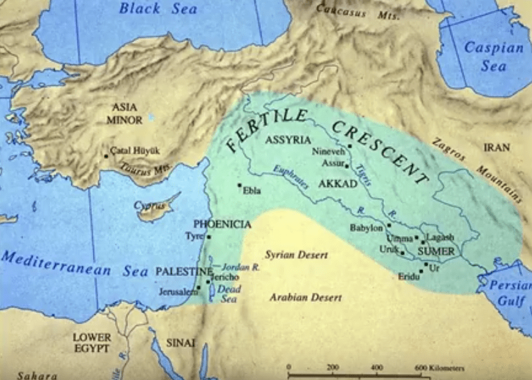 Disappearing Palestine Part 1 – Dissentopia